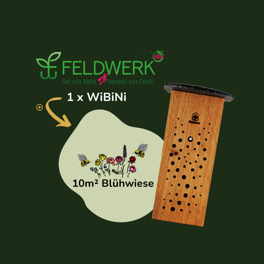 Unsere Produkte – flowbee